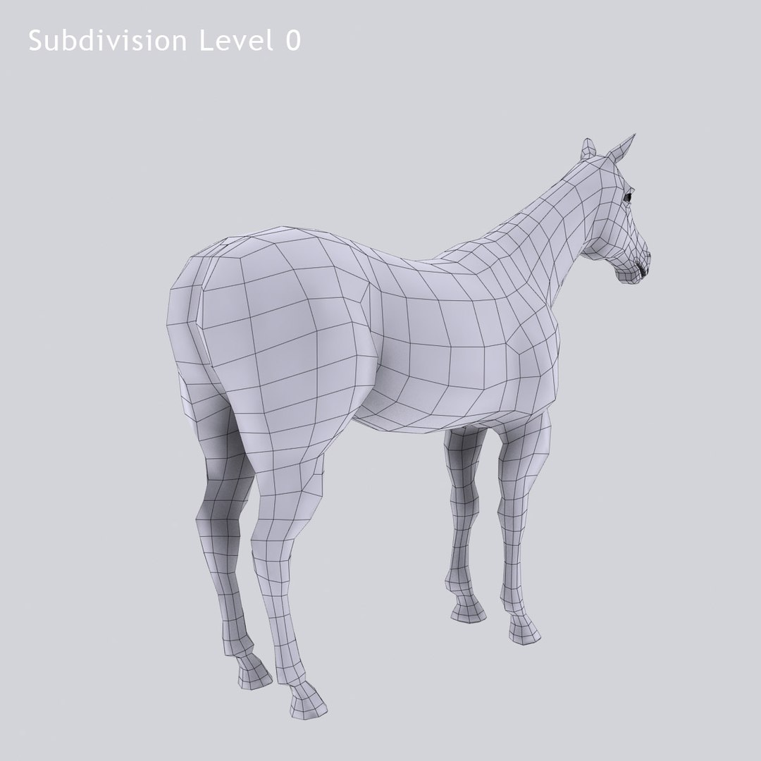 Realistic Horse 3d Model