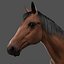 realistic horse 3d model
