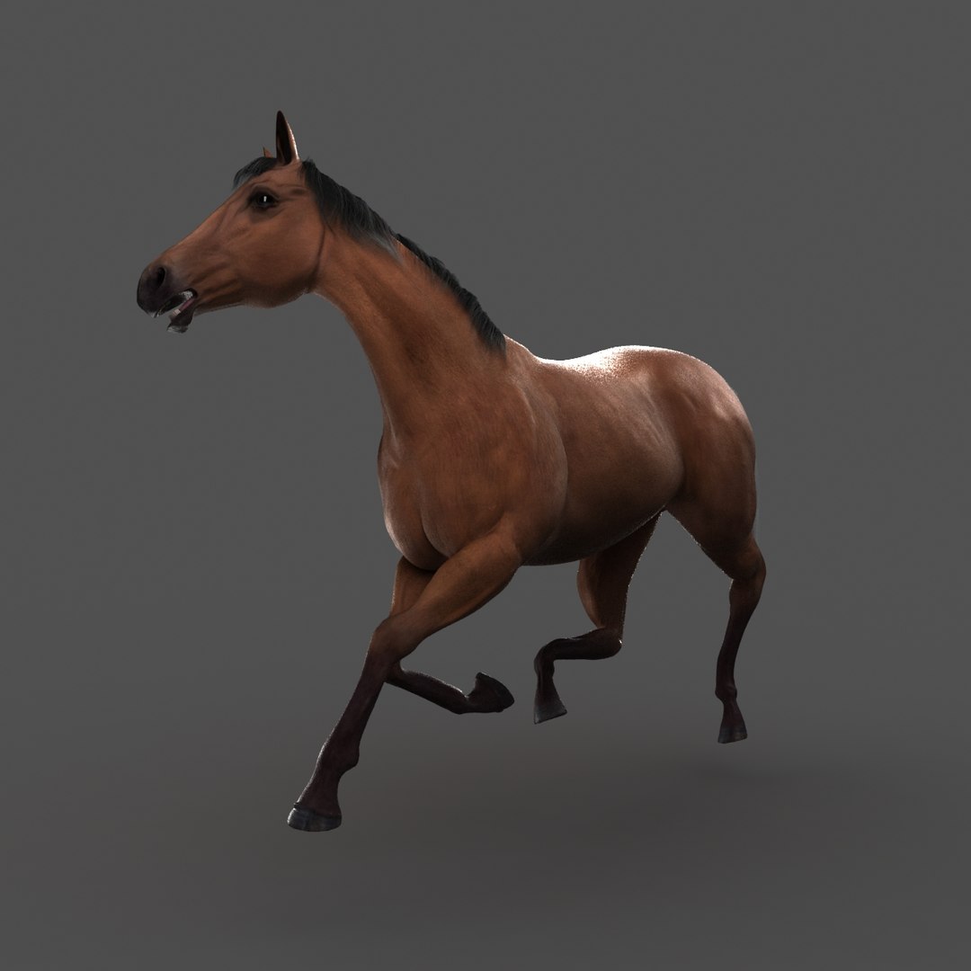 Realistic Horse 3d Model