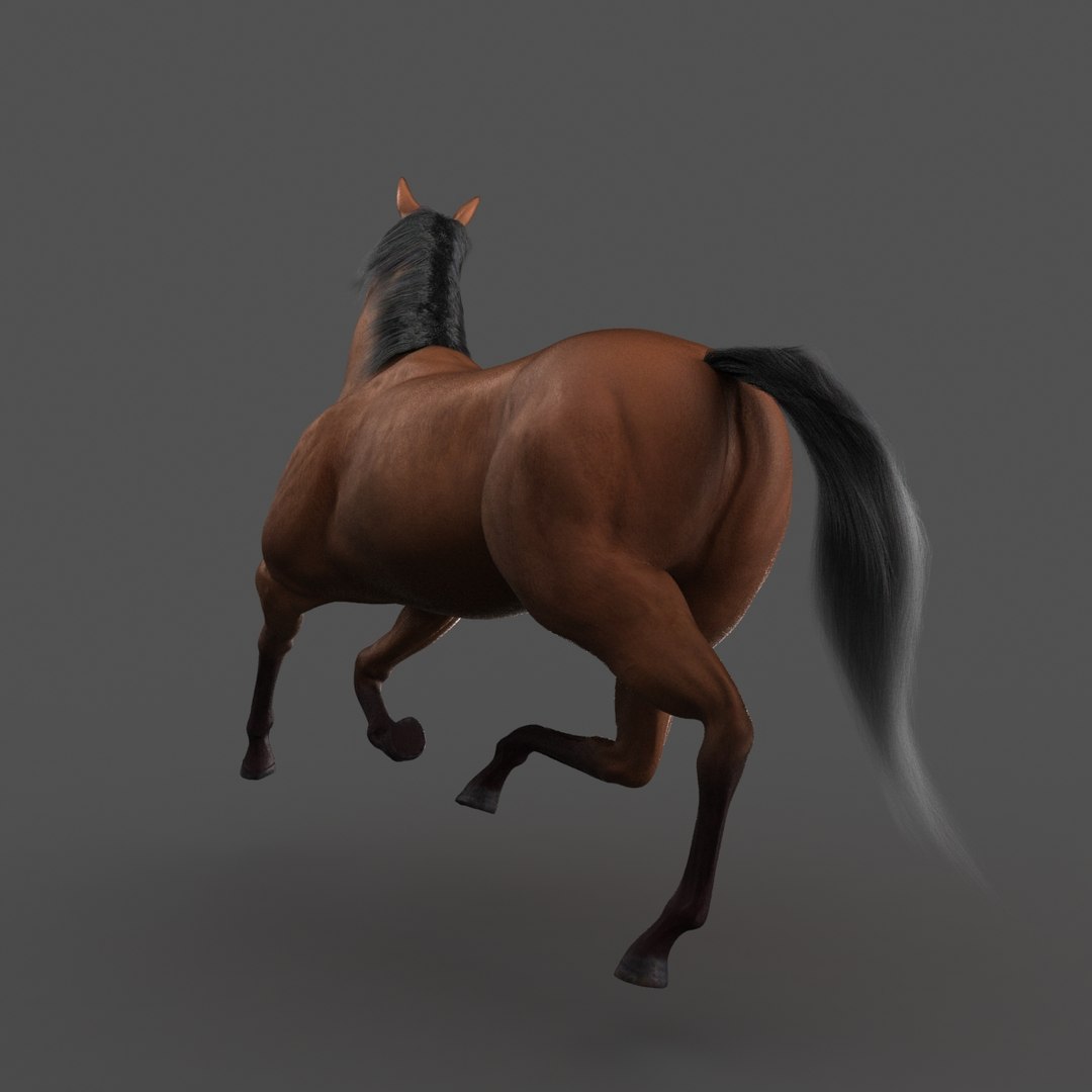Realistic Horse 3d Model