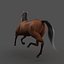 realistic horse 3d model