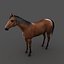 realistic horse 3d model