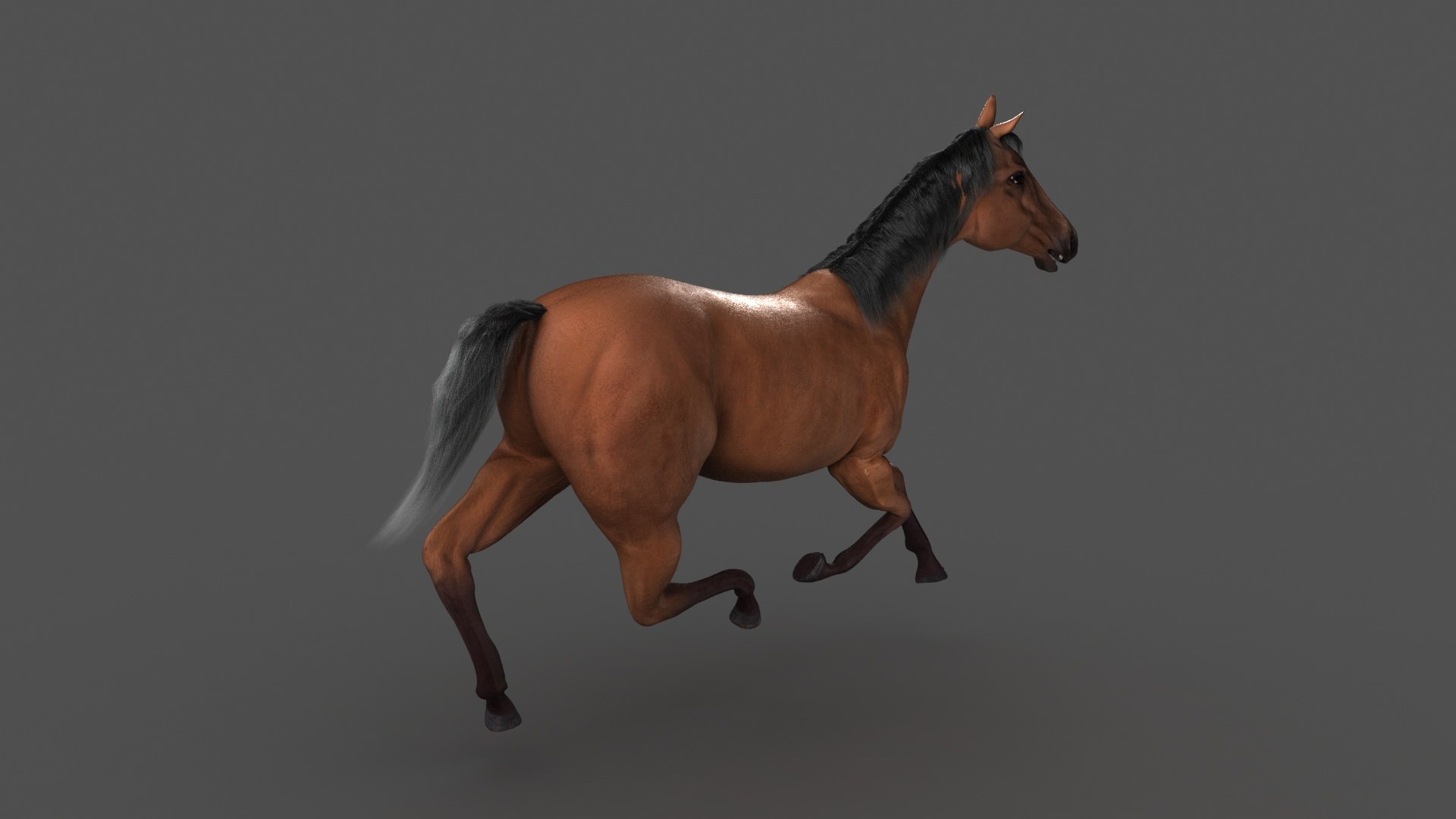 Realistic Horse 3d Model