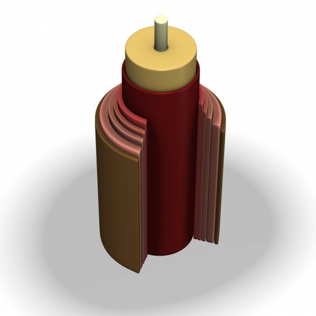 3d Hair Anatomy Model