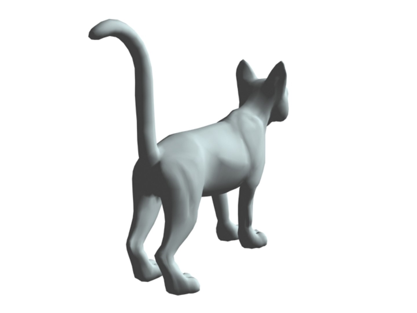 3d Model Of Cat Feline