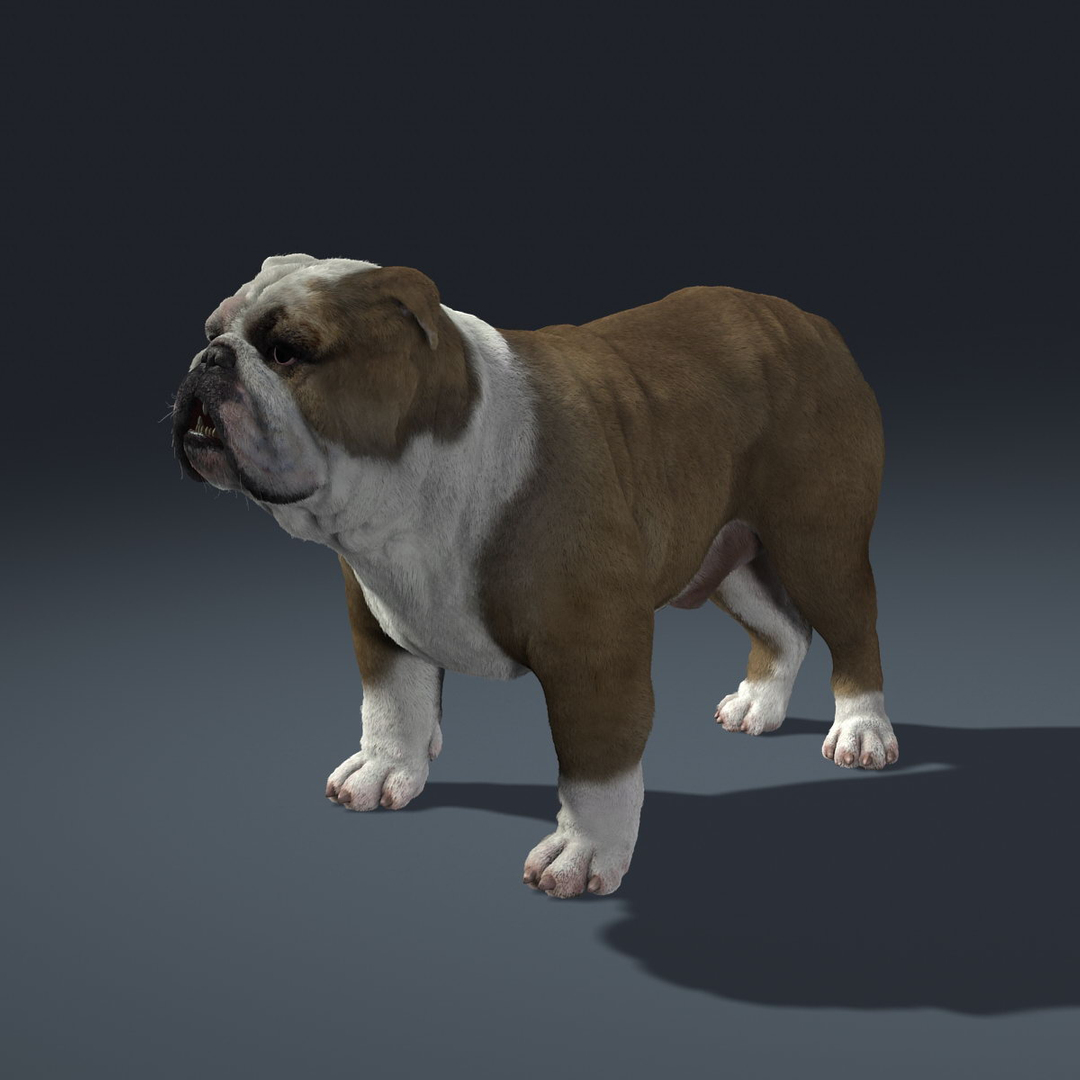 maya bulldog dog