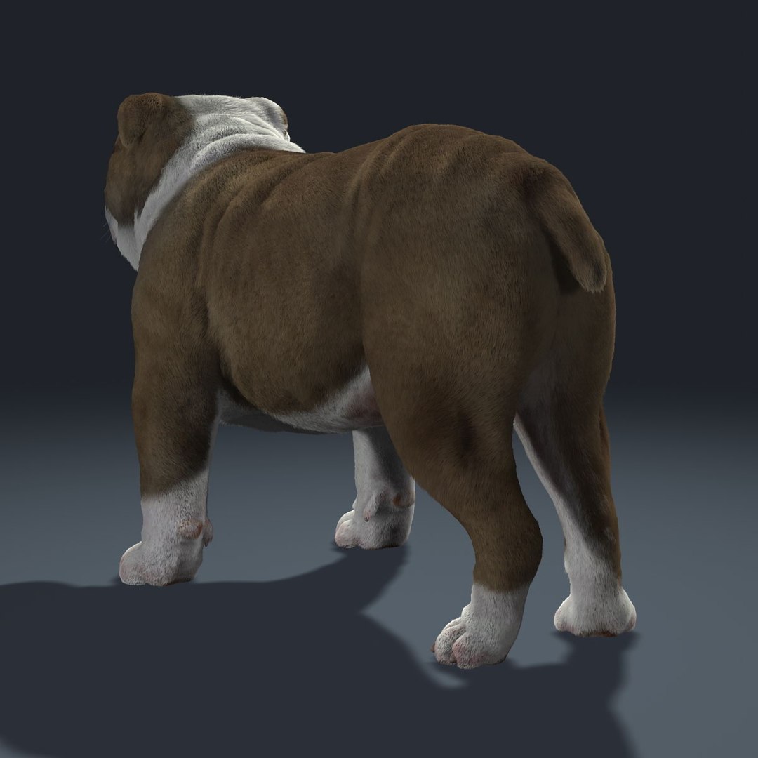 maya bulldog dog