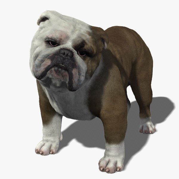 american bulldog 3d model