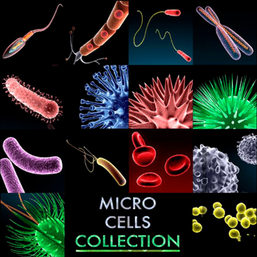 3d Microscope Cells Bacteria Virus Model