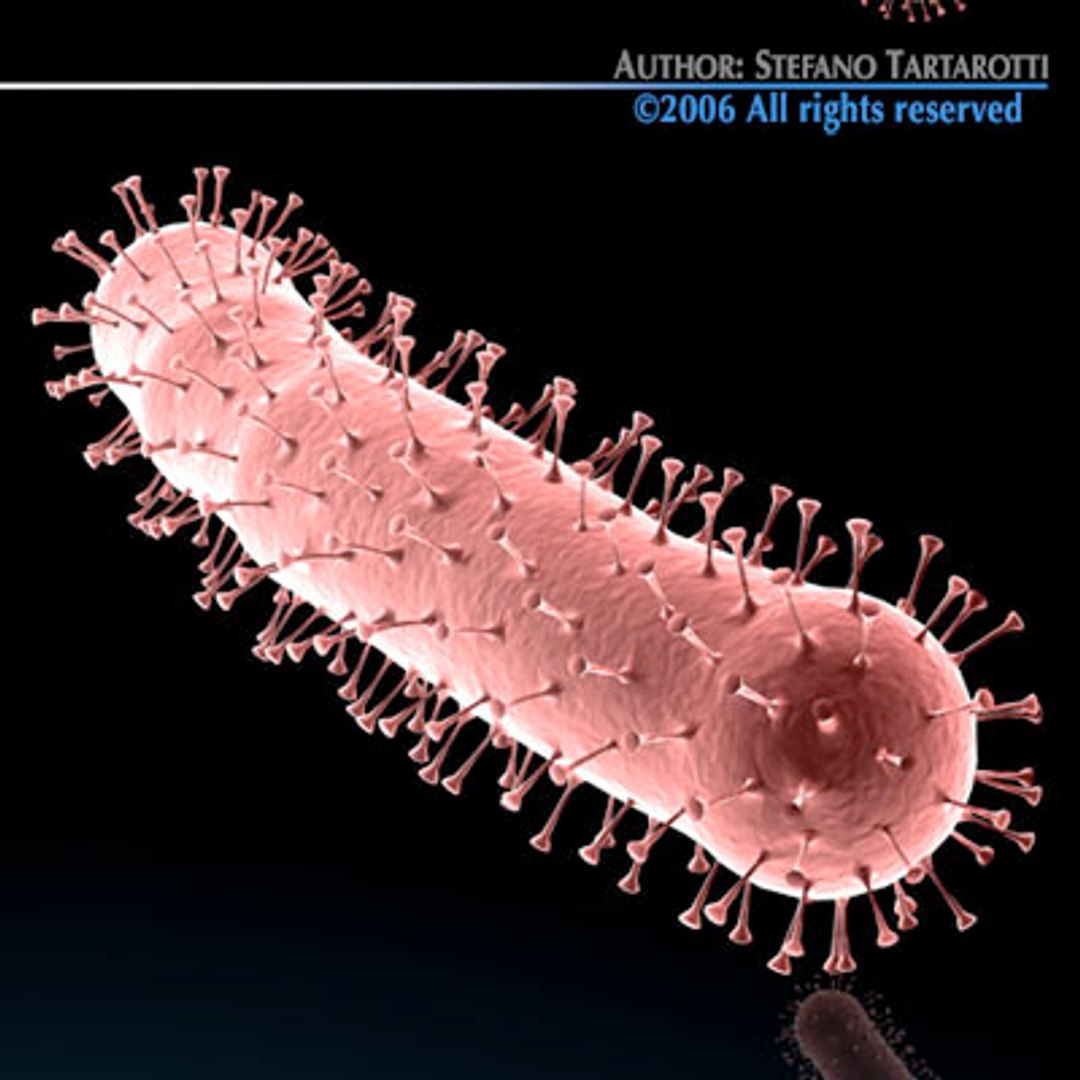 3d Microscope Cells Bacteria Virus Model