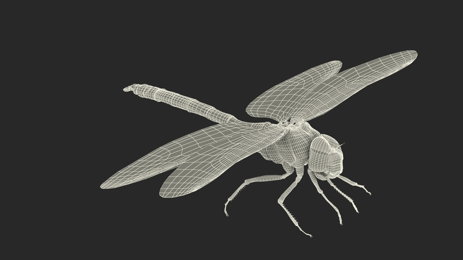 Dragonfly Rigged For Maya 3D Model - TurboSquid 1994070