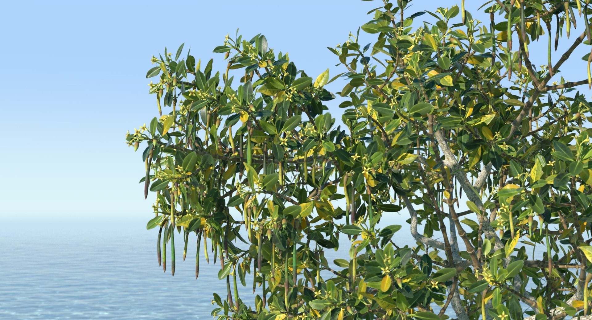 Mangrove animation model - TurboSquid 1369053