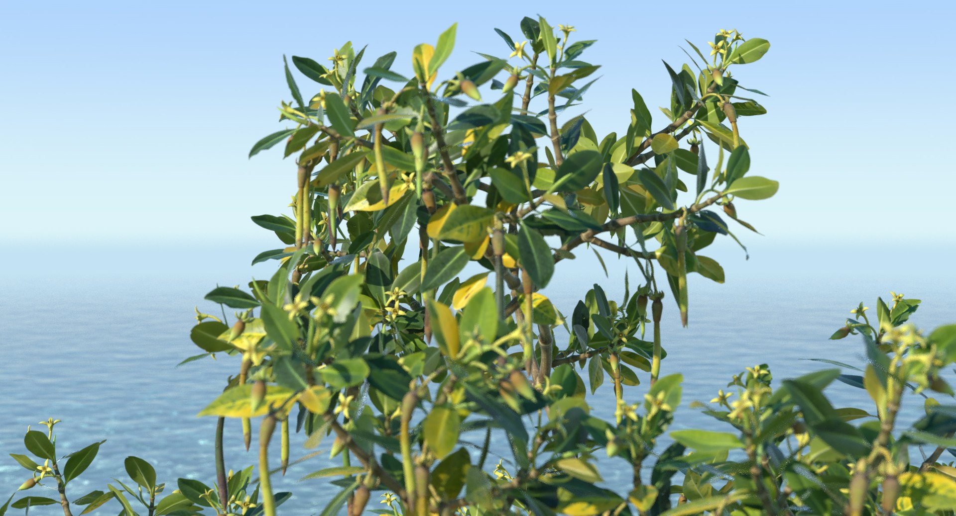 Mangrove animation model - TurboSquid 1369053