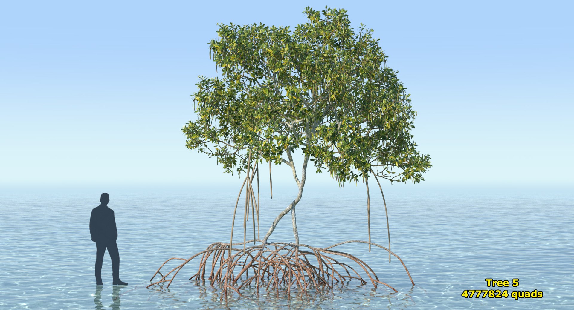 Mangrove animation model - TurboSquid 1369053