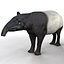 3d Tapir Animal Modelled