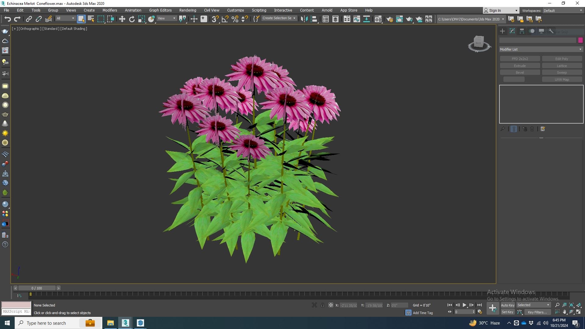 3D Echinacea Merlot - Coneflower - TurboSquid 2295902