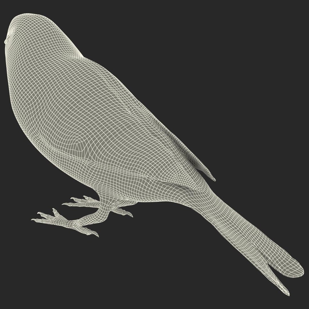 House Sparrow 3d 3ds