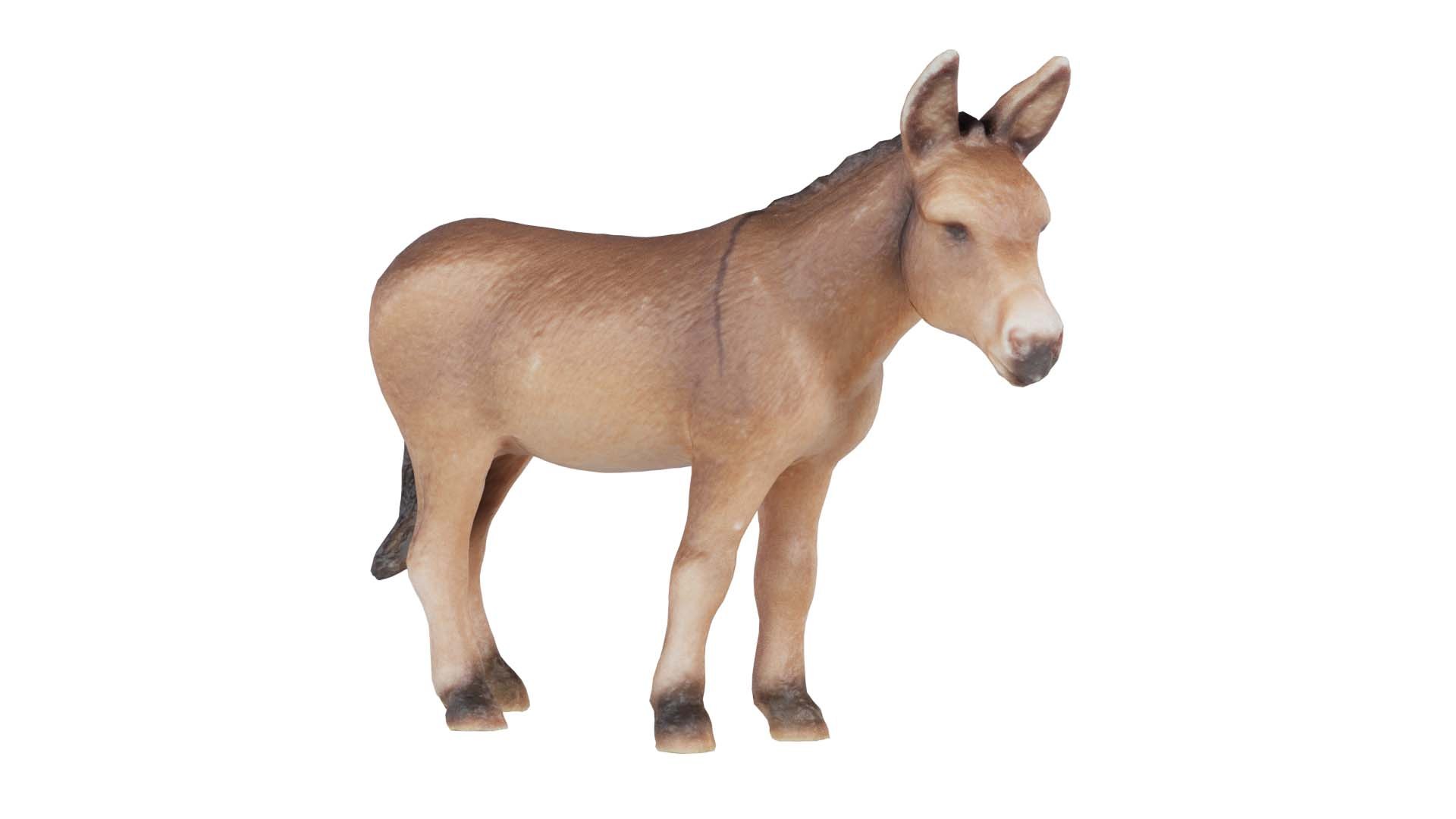 Donkey Remastered 3D Model - TurboSquid 2363565
