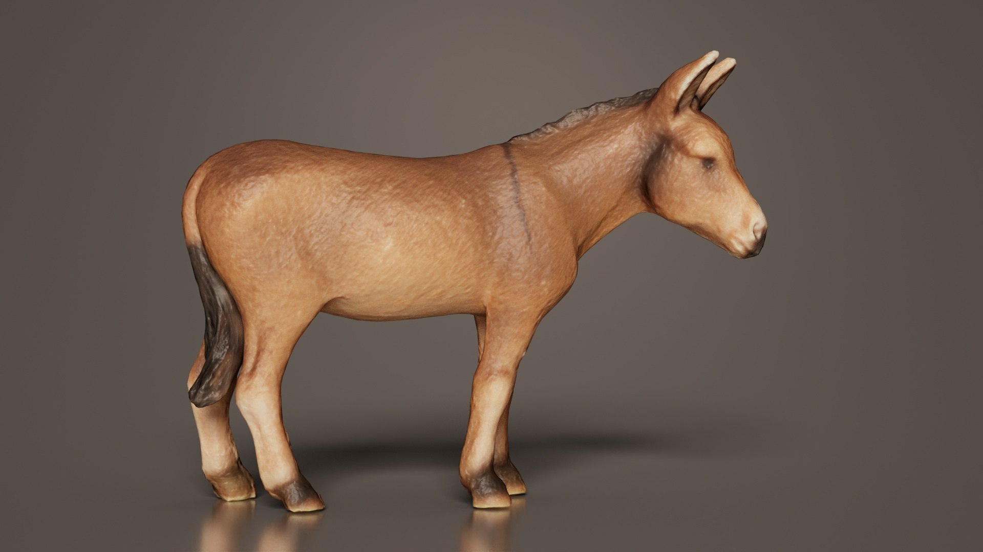 Donkey Remastered 3D Model - TurboSquid 2363565