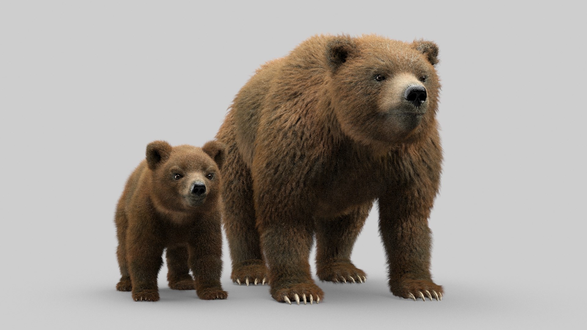 Bear Group Model - TurboSquid 1621504