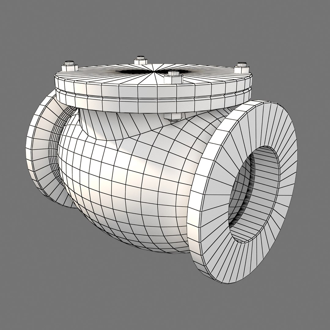 Check Valve 3D Model - TurboSquid 1830978