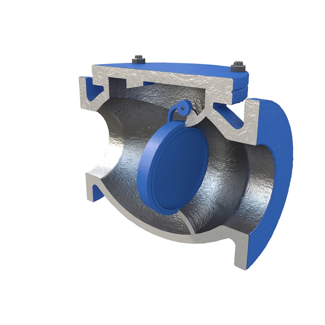 Check Valve 3D Model - TurboSquid 1830978