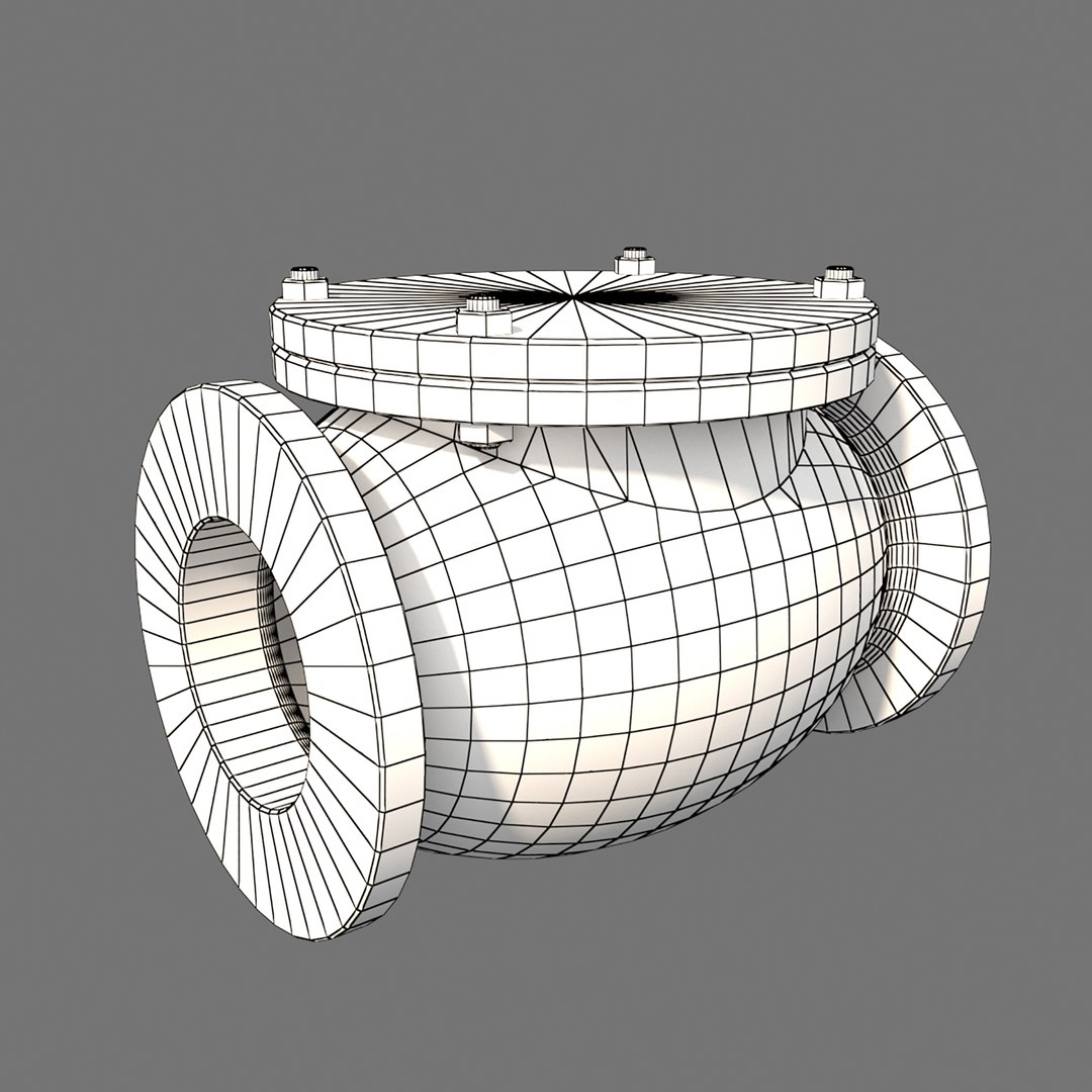 Check Valve 3D Model - TurboSquid 1830978