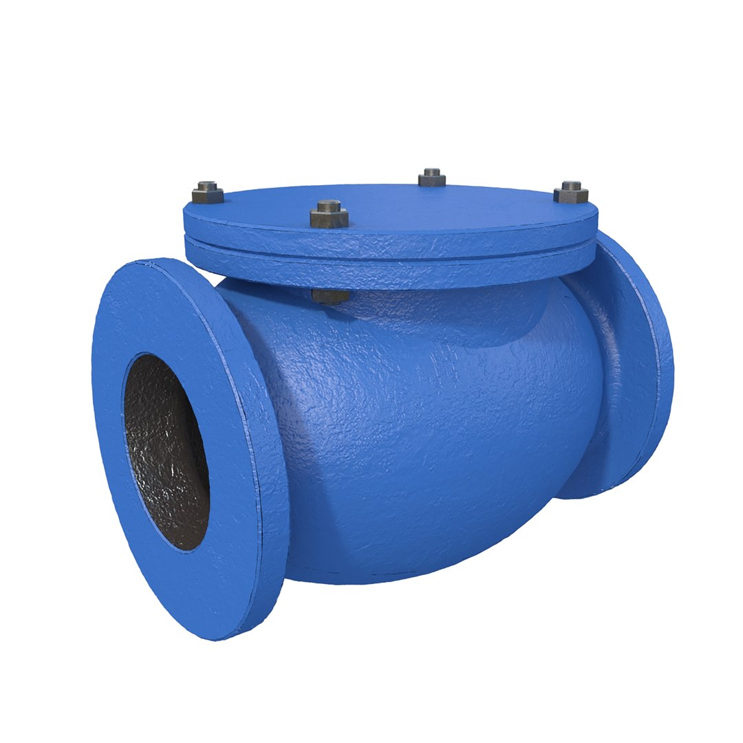 Check Valve 3D Model - TurboSquid 1830978