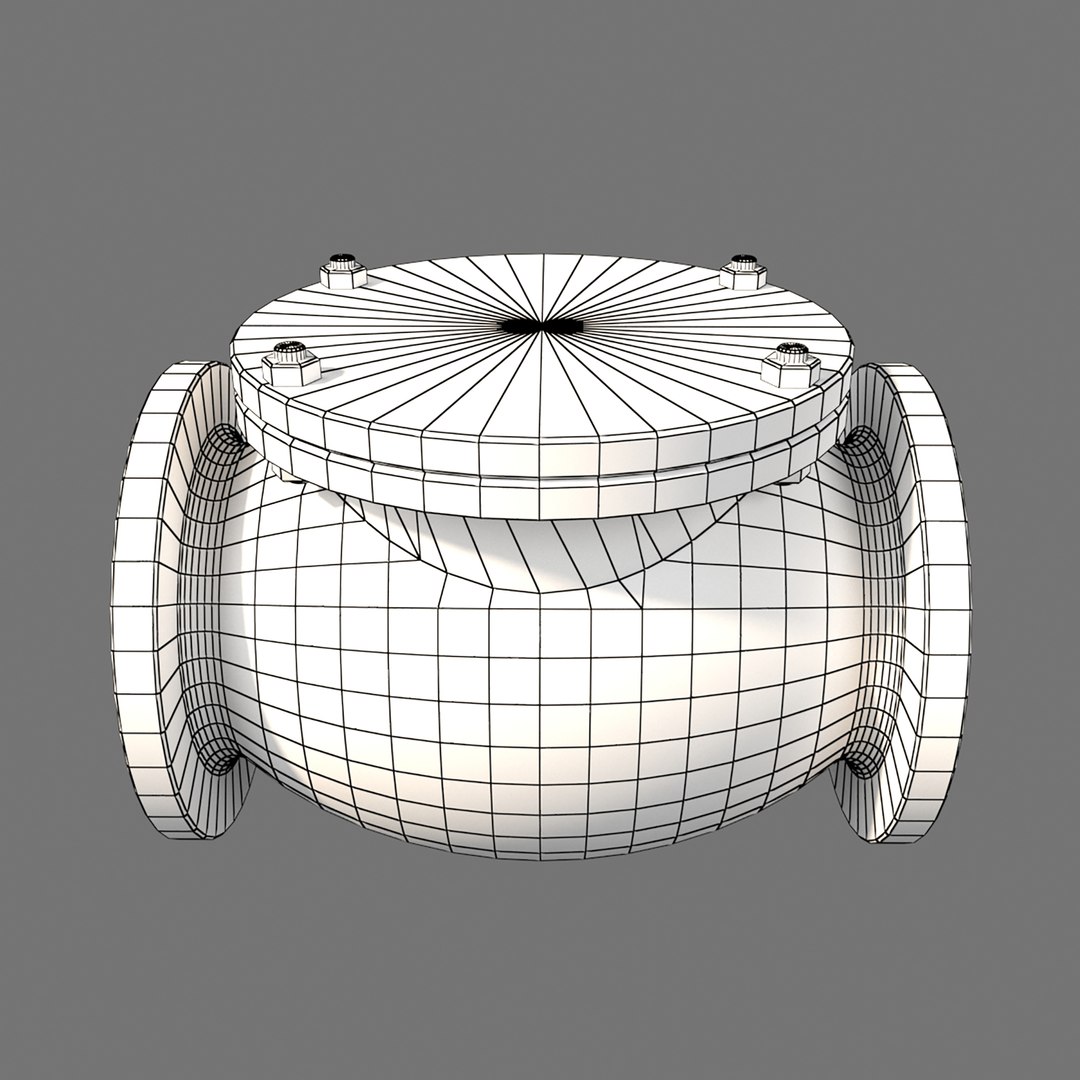 Check Valve 3D Model - TurboSquid 1830978