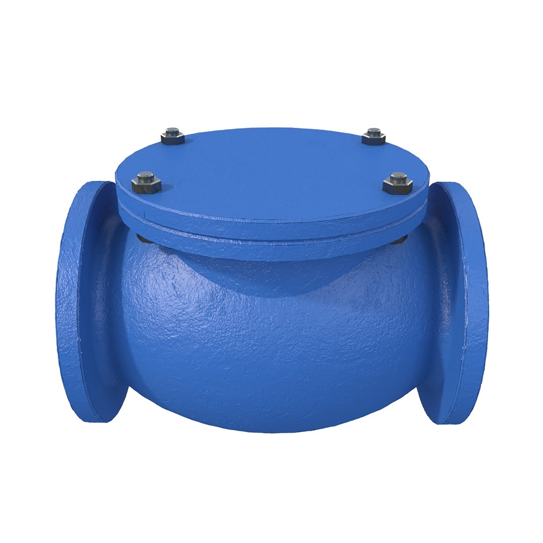 Check Valve 3D Model - TurboSquid 1830978