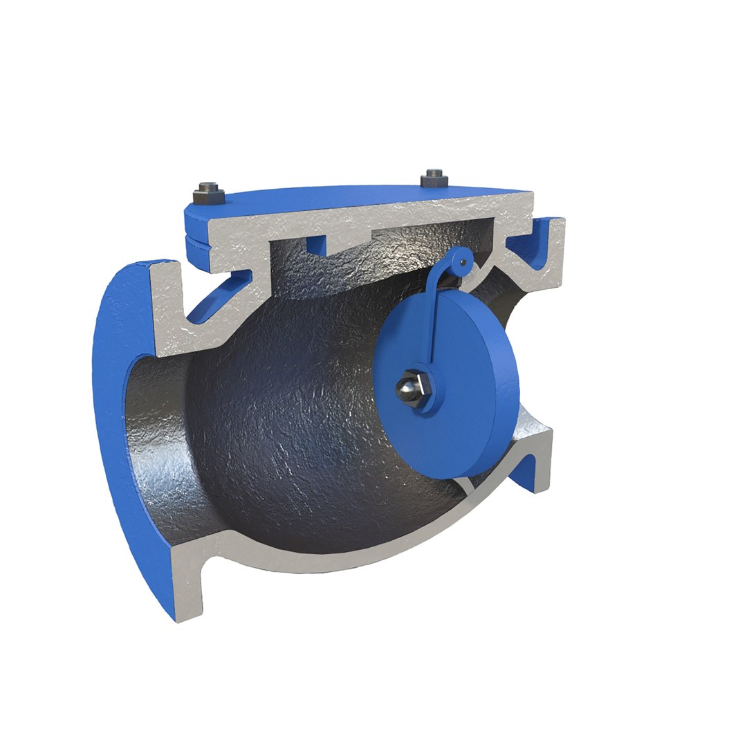 Check Valve 3D Model - TurboSquid 1830978