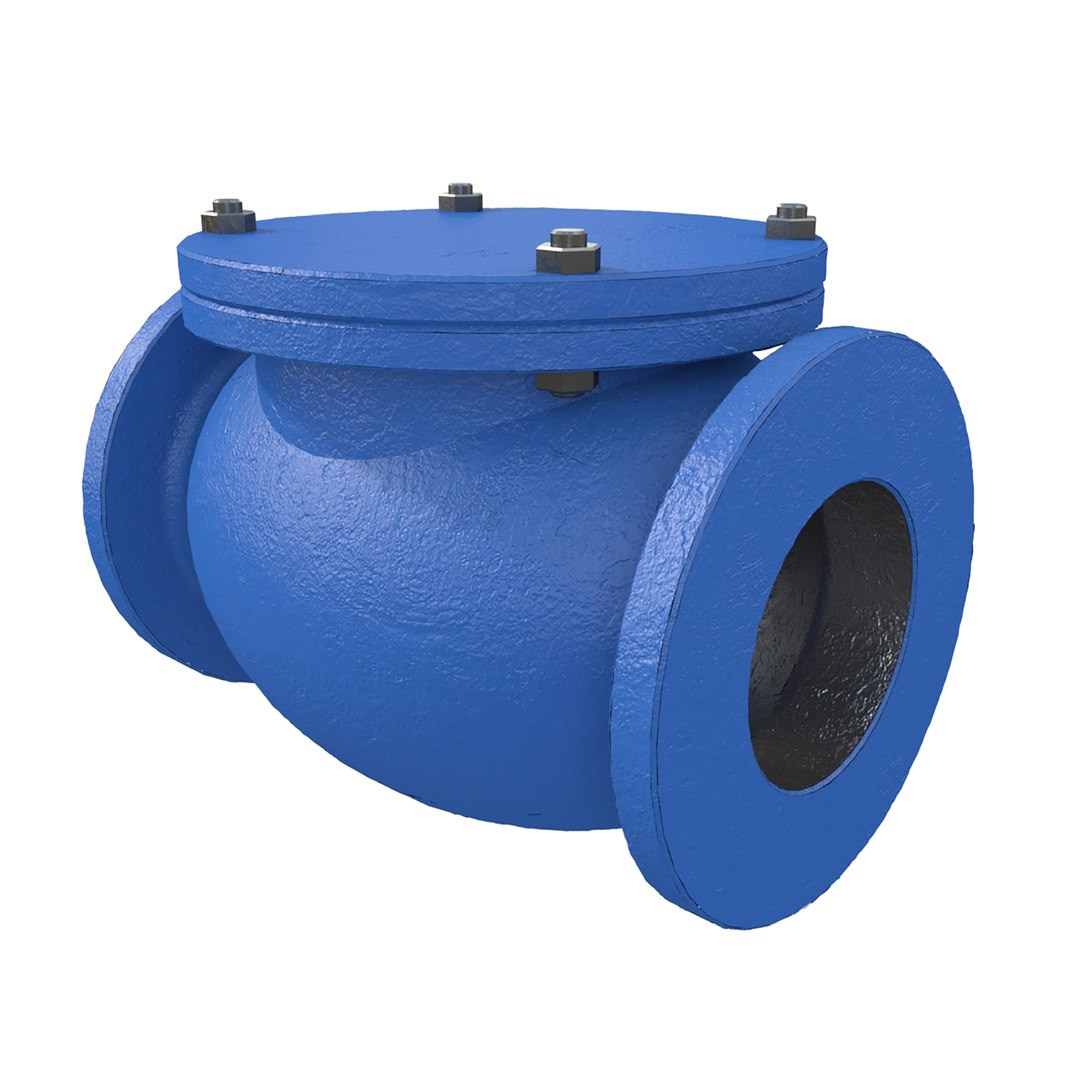 Check Valve 3D Model - TurboSquid 1830978