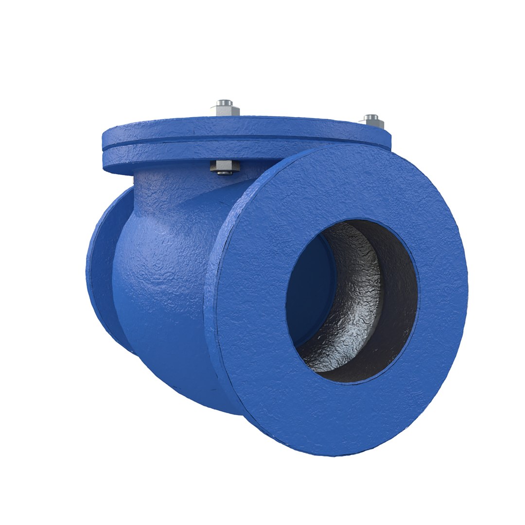 Check Valve 3D Model - TurboSquid 1830978