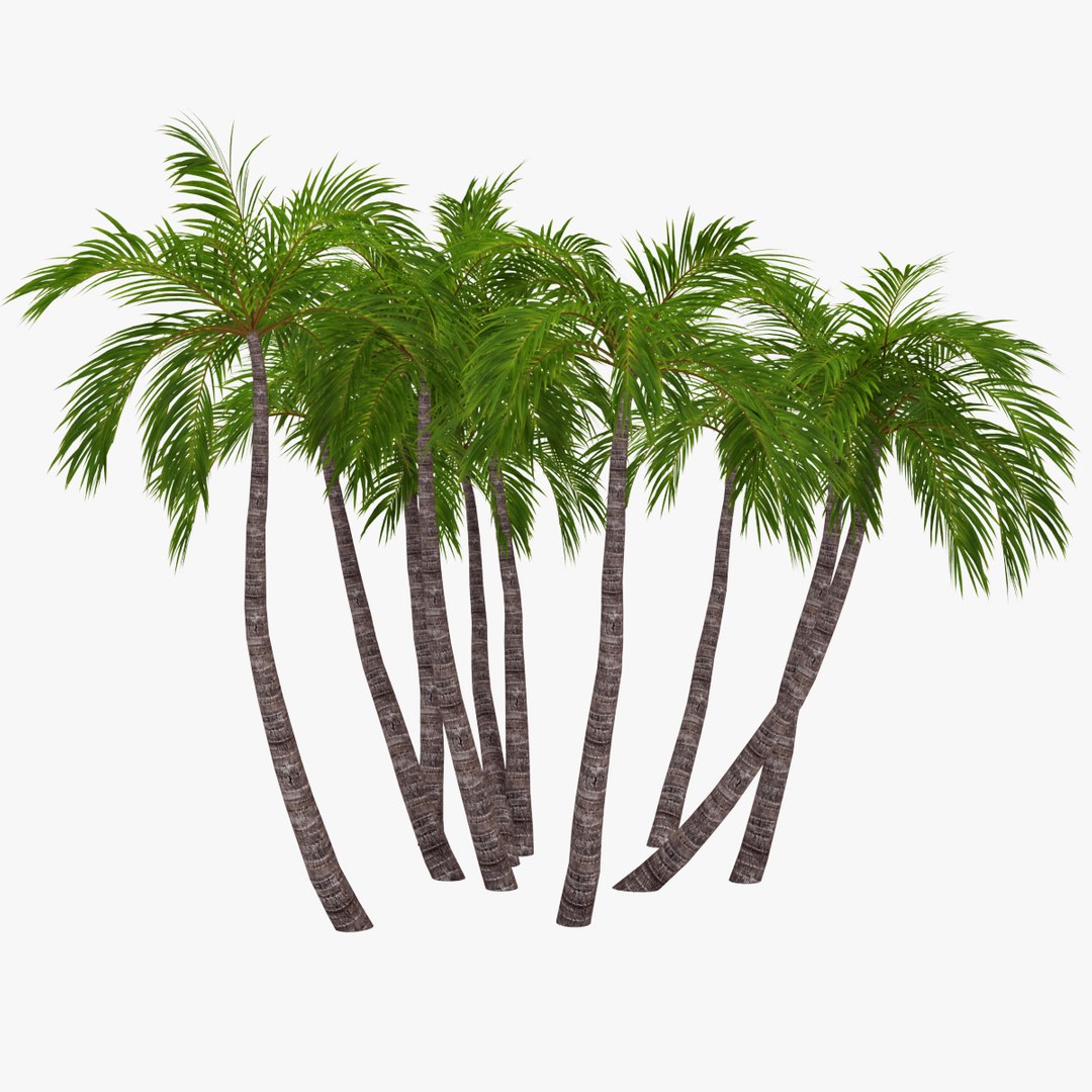 3d palm 017