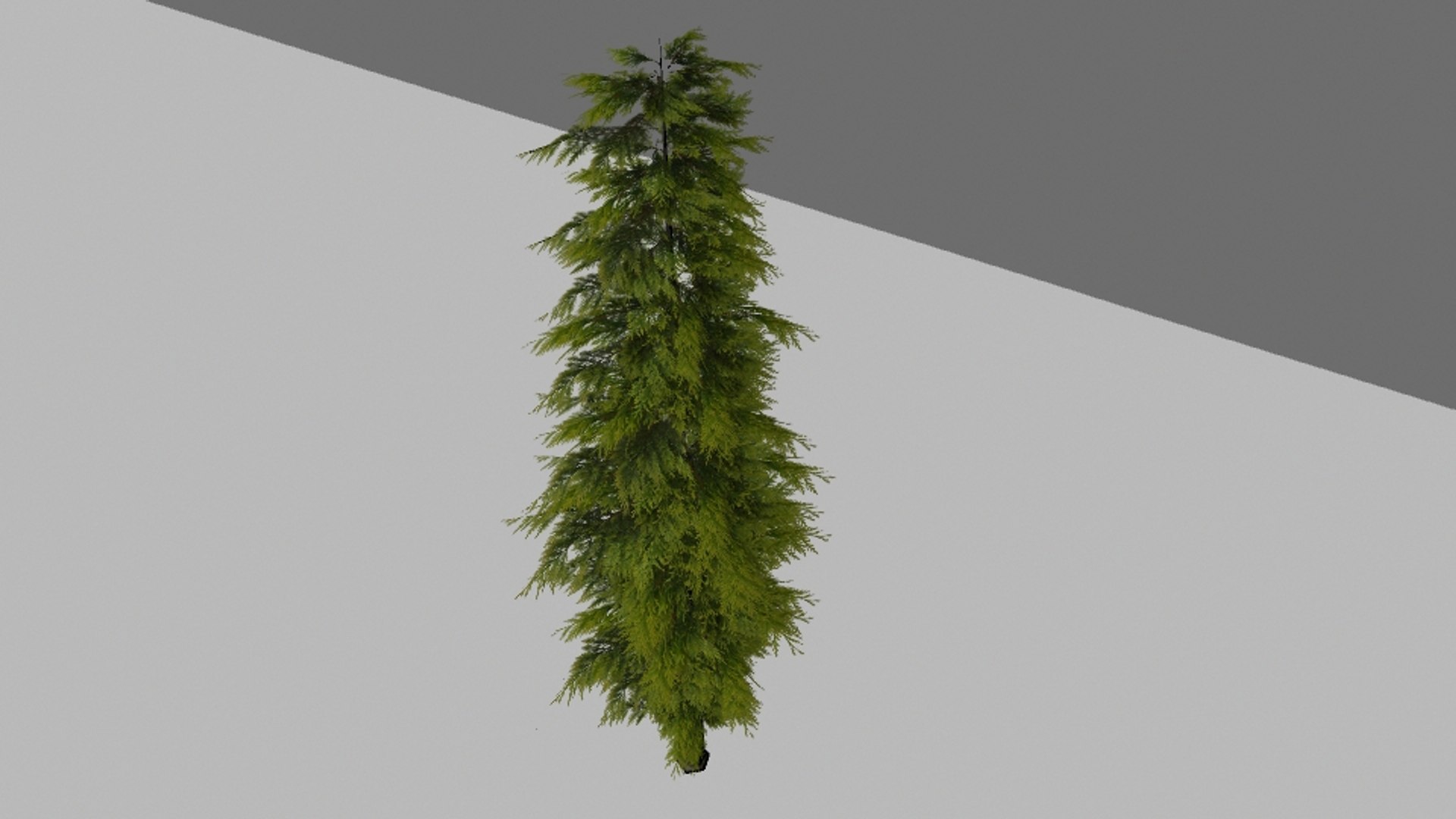 Pine Tree 3D Model | 1142647 | TurboSquid