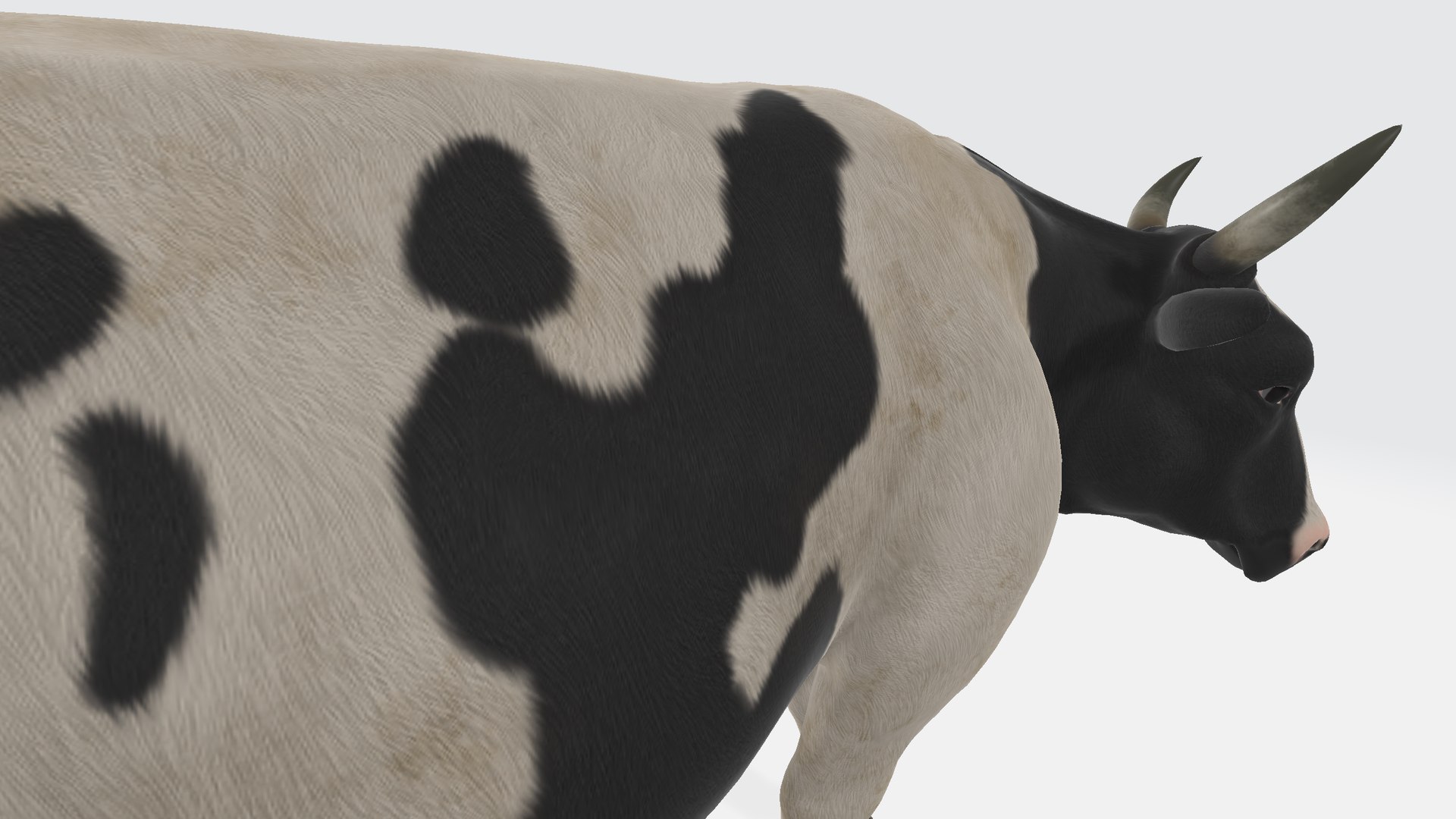Cow Model - TurboSquid 2306336