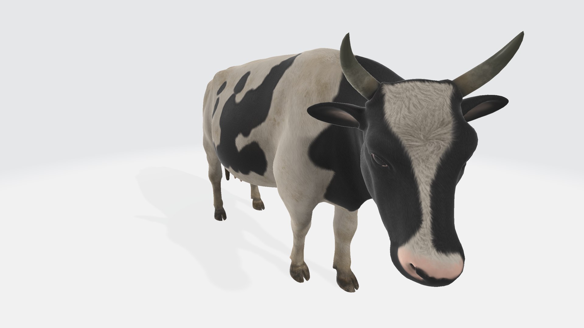 Cow Model - TurboSquid 2306336