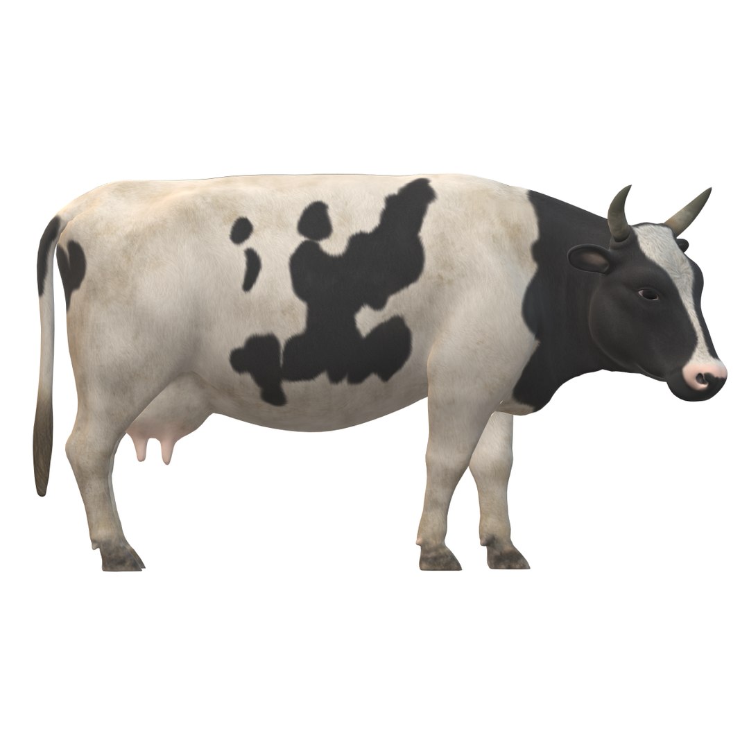 Cow Model - TurboSquid 2306336