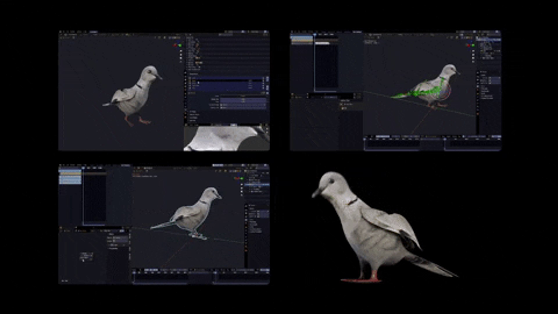 Fully Rigged Textured And Animated Pigeon Bird 3D Model - TurboSquid ...