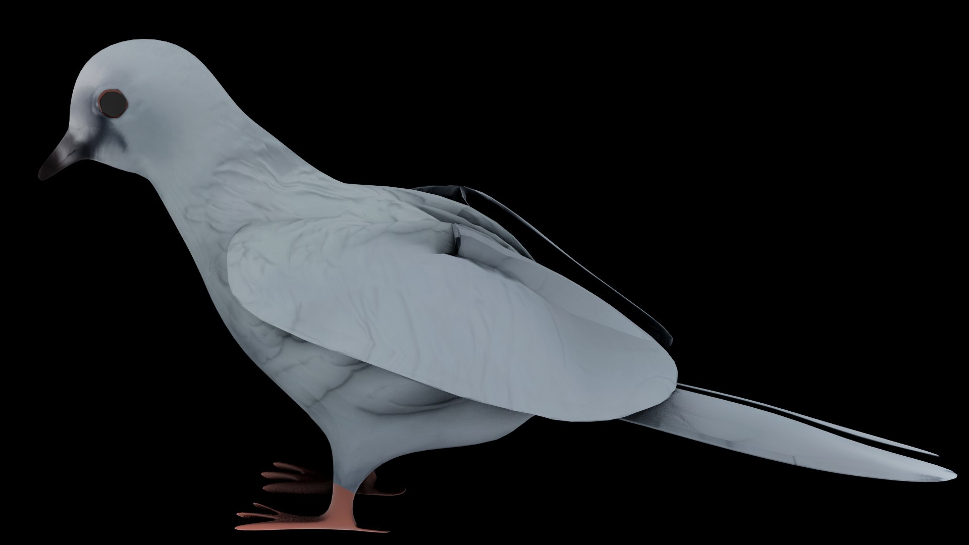 Fully Rigged Textured And Animated Pigeon Bird 3D Model - TurboSquid ...
