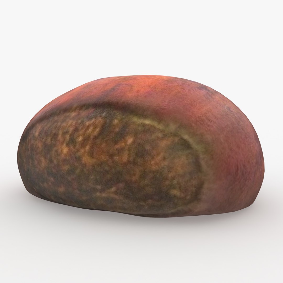 realistic chestnut 3d 3ds