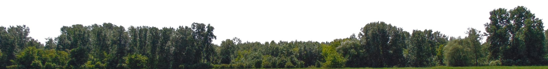 Free 3D backdrop treelines alpha channel - TurboSquid 1412985