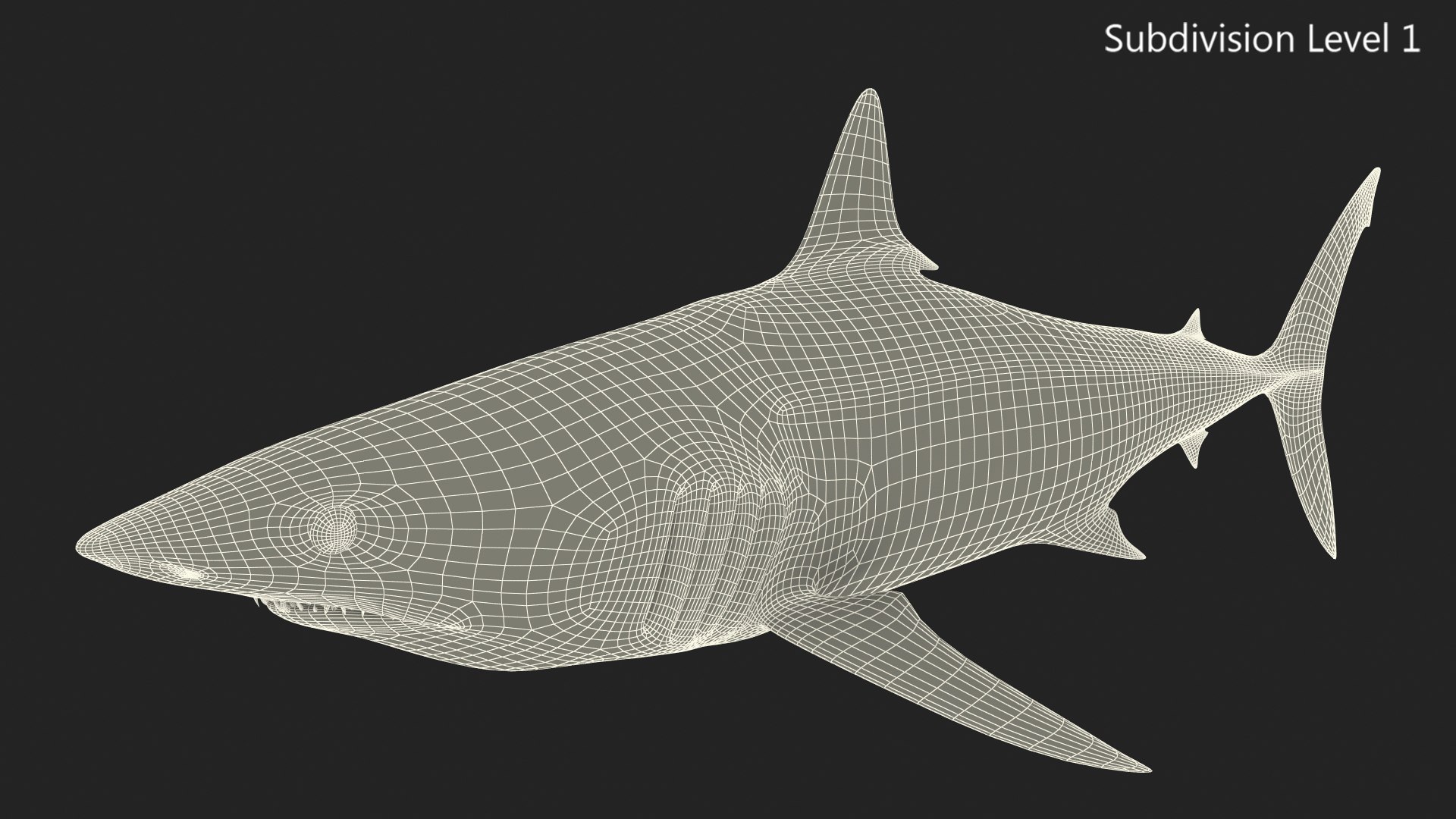 3D Realistic Shortfin Mako Shark Rigged For Cinema 4D Model ...