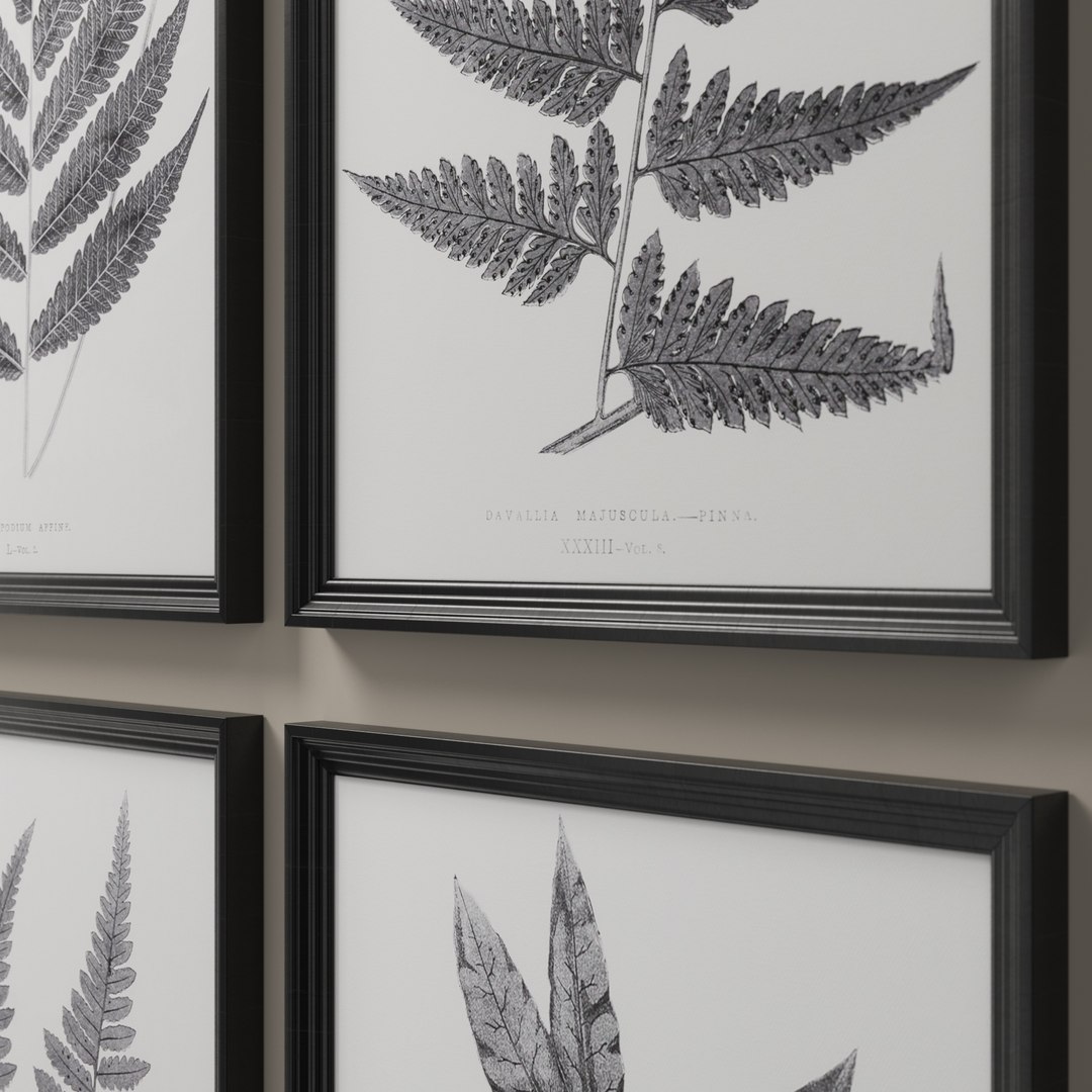 Free 3D Posters Botanical Model - TurboSquid 1254560