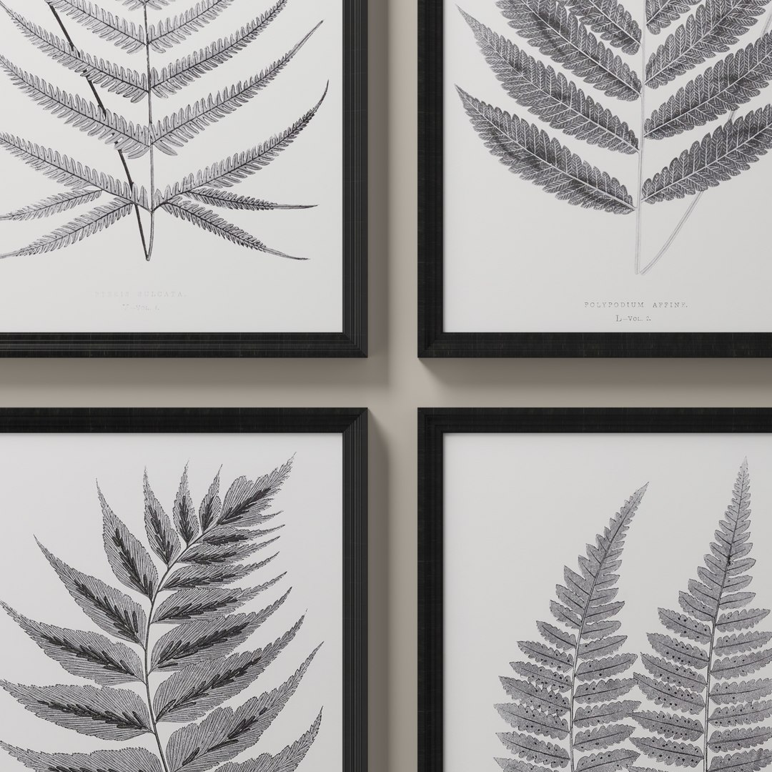 Free 3D Posters Botanical Model - TurboSquid 1254560