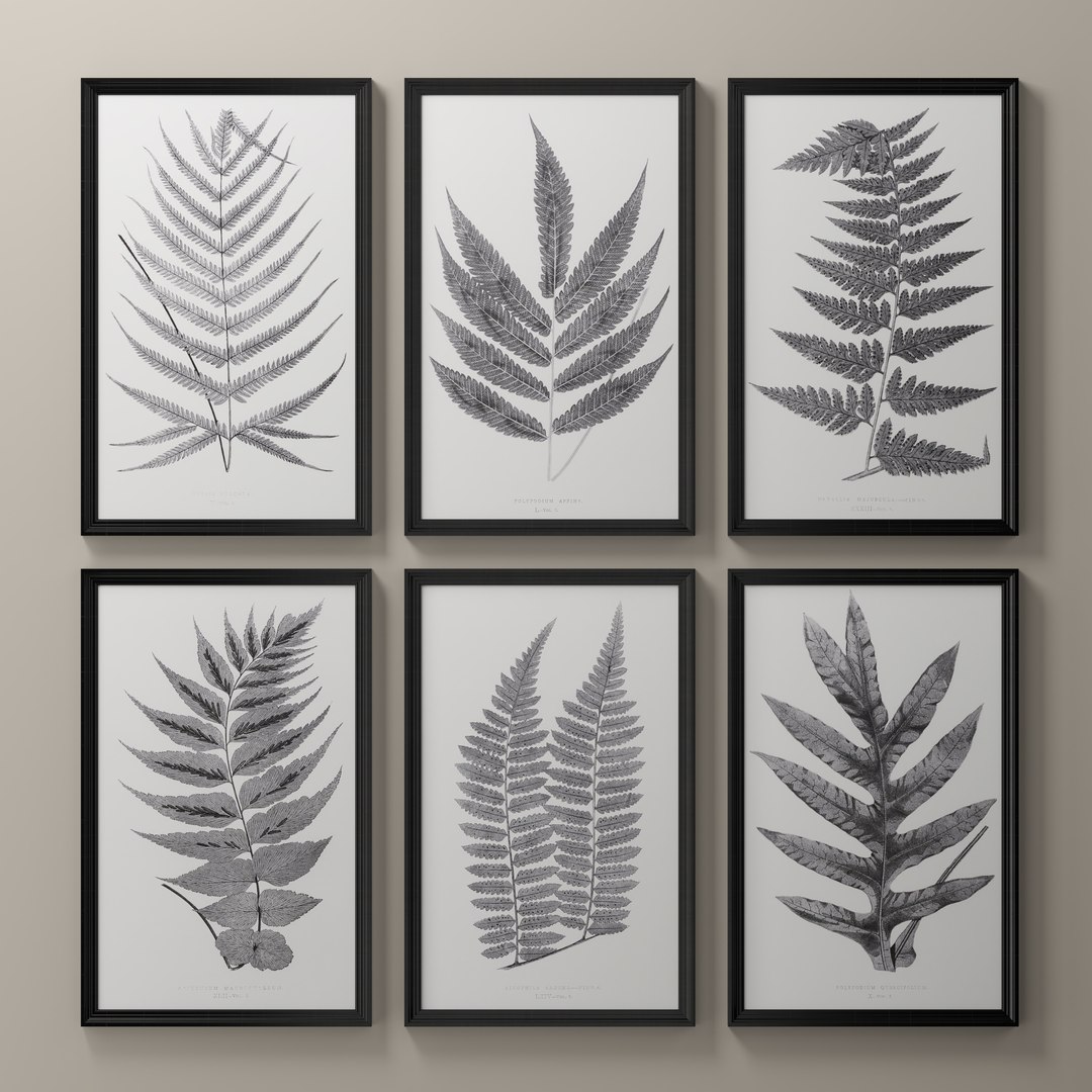 Free 3D Posters Botanical Model - TurboSquid 1254560