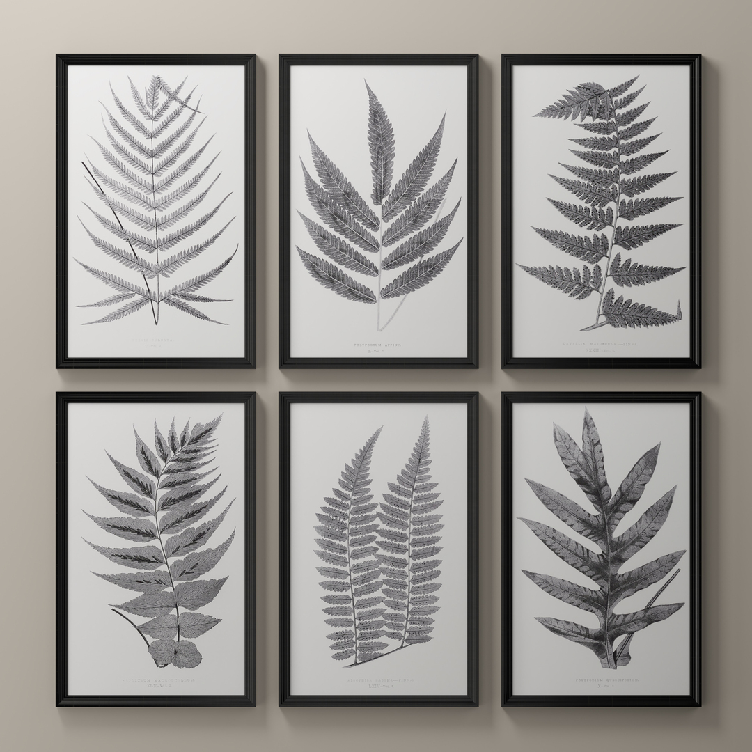 Free 3D posters botanical model - TurboSquid 1254560