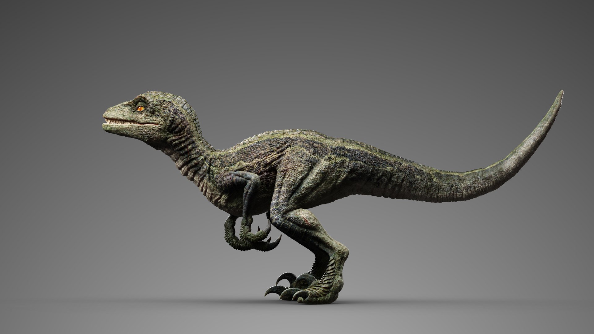 3D Model Velociraptor - TurboSquid 1447425