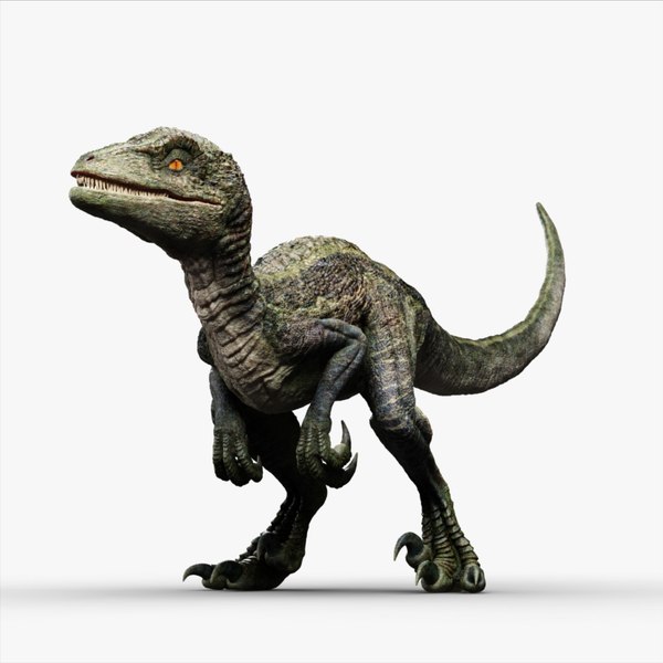 Raptor 3D Models for Download | TurboSquid