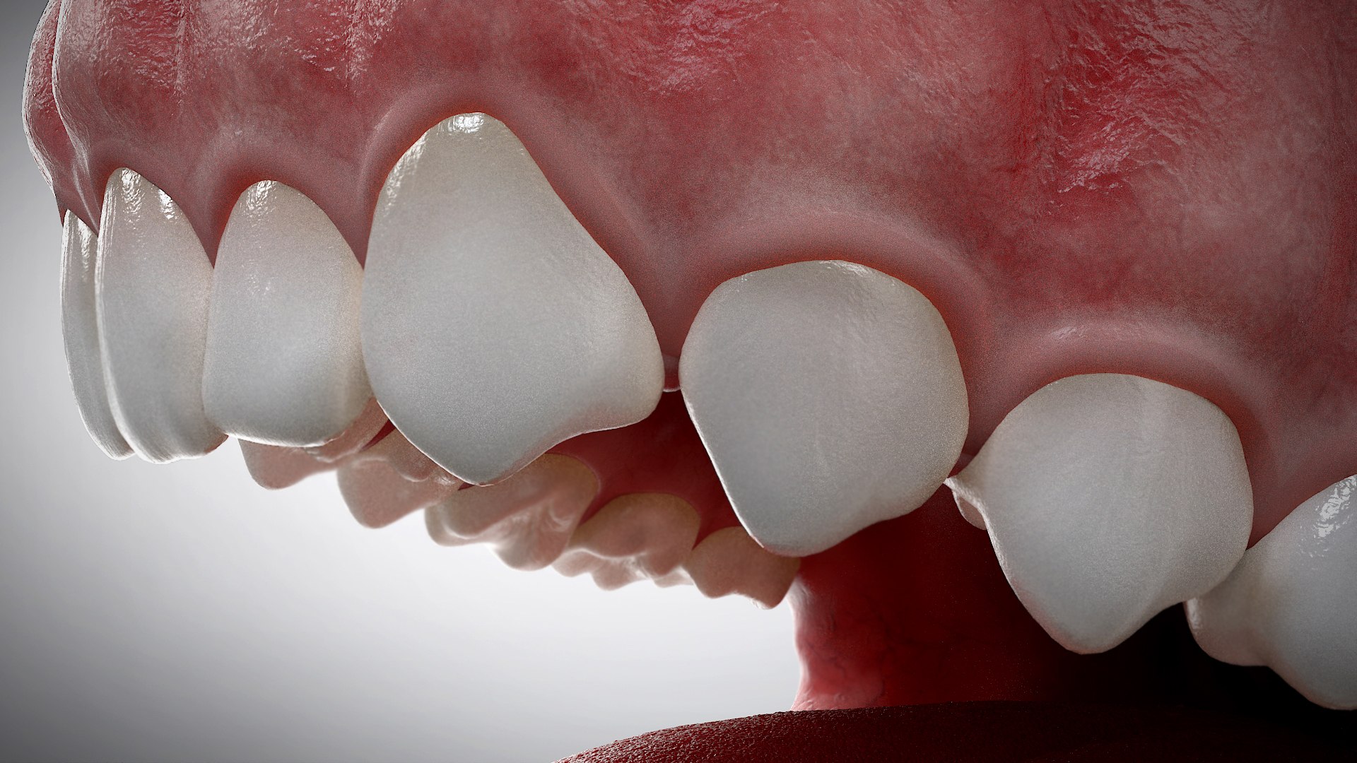 Realistic Human Mouth Anatomy 3D Model - TurboSquid 1995422